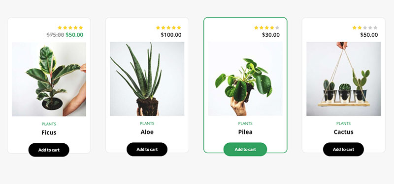 Demo 01 - Divi Shop Builder Plugin For WooCommerce Demo 01 - Divi Shop Builder Plugin For WooCommerce